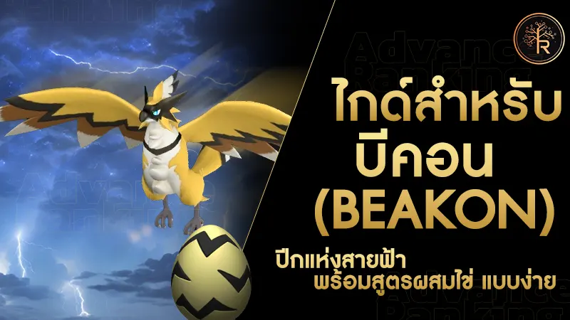 บีคอน (Beakon) ปีกแห่งสายฟ้า พร้อมสูตรผสมไข่ แบบง่าย
