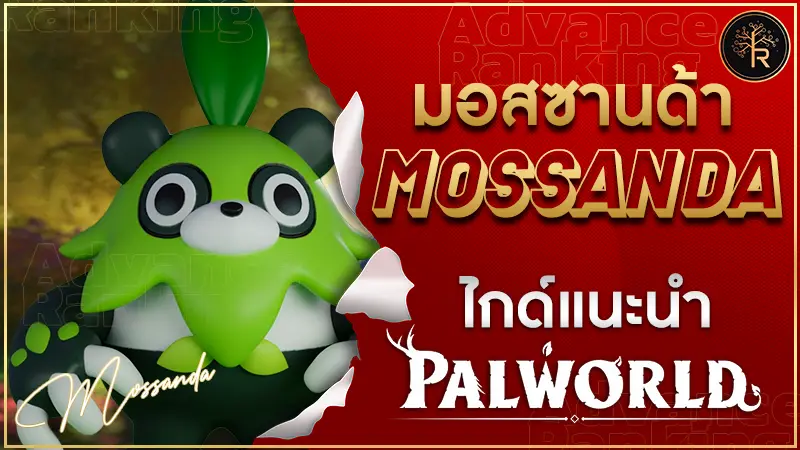 สูตรผสมไข่ มอสซานด้า (Mossanda) หมีเขียวสายกังฟู